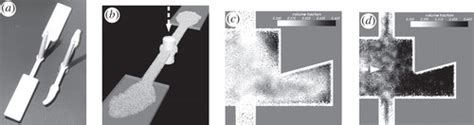 Smoothed Particle Hydrodynamics Simulation Of Shear Induced Powder Migration In Injection