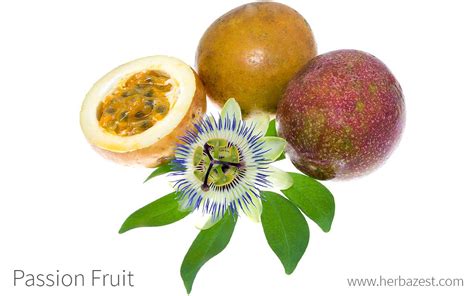 Passion Fruit Herbazest