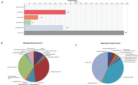 Annotation Of 9647 Unique Transcripts Derived From Roots Cdna