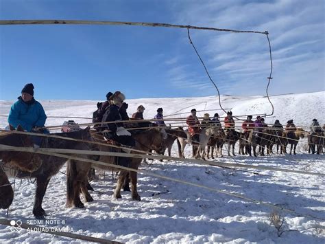 Батширээт сумын аварга шалгаруулах Адуучин тэмцээн 01 р сарын 28 ны өдөр Барх багийн Зүүн
