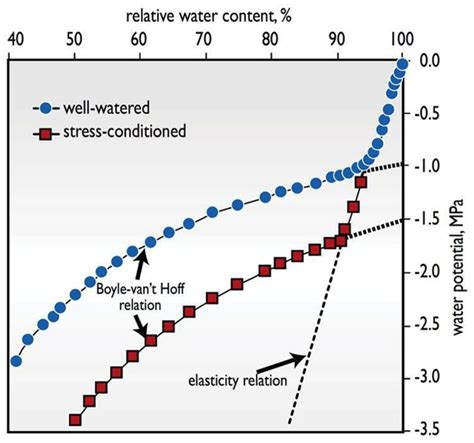 The Advantages Of Accumulating Osmotically Active Solutes Is Download Scientific Diagram