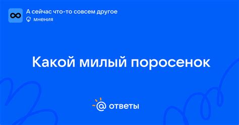 Какой милый поросенок Ответы Mail