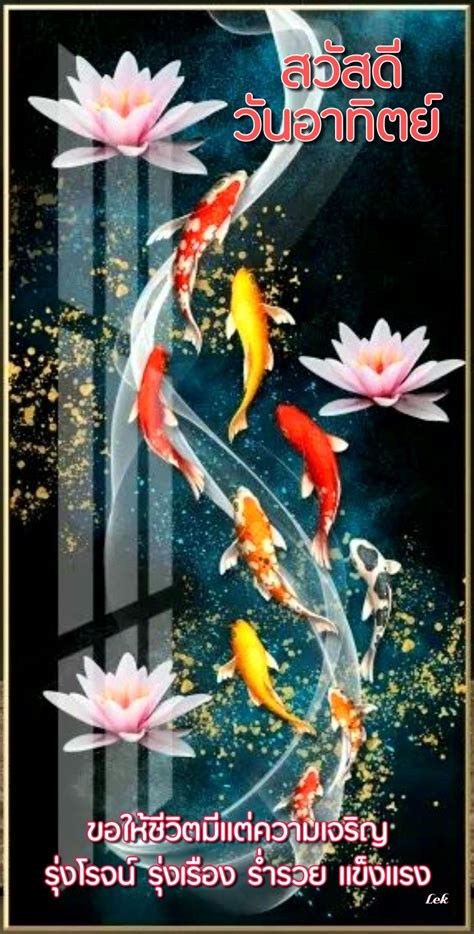 สวัสดีวันอาทิตย์  วันอาทิตย์ อรุณสวัสดิ์ สวัสดีตอนเช้า