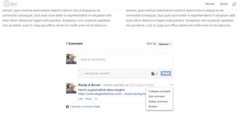 Divi Plugin Highlight Facebook Comments Module Ask The Egghead Inc