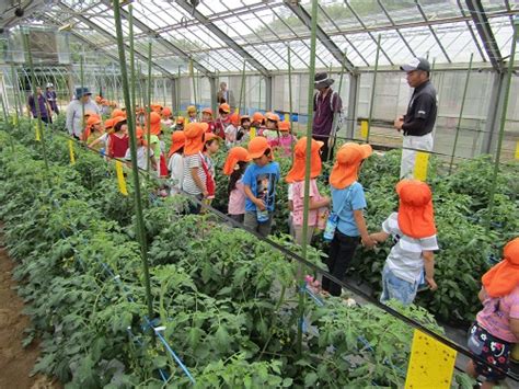 平和の園 保育園の園児の皆様 来校 鹿児島県立種子島高等学校