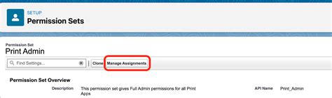 Assigning Permission Sets