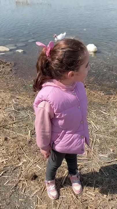 ნიაკო აჭმევს იხვებს 🦆🪿 Youtube