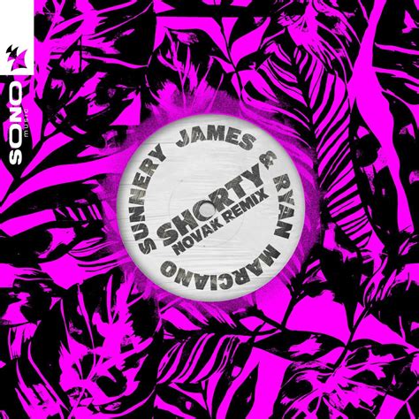 Sunnery James And Ryan Marciano Shorty Novak Remix Extended Mix Edm Lake Zippyshare