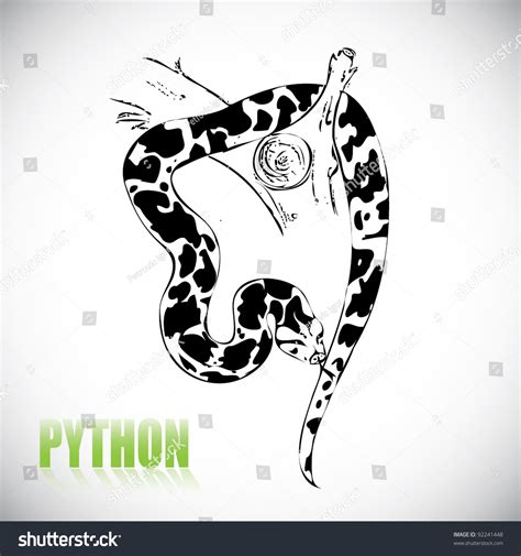 Burmese Python Tongue Over 3 Royalty Free Licensable Stock