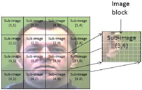 Figure 1 From Performance Of Pca Based Semi Supervised Learning In Face Recognition Using Mpeg 7