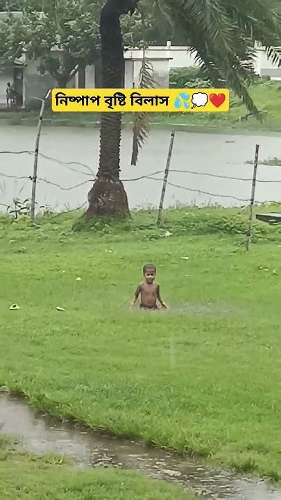 এই বাচ্চাটাকে দেখে ছোটবেলায় ফিরে যেতে ইচ্ছা হয় ️ Subscribe