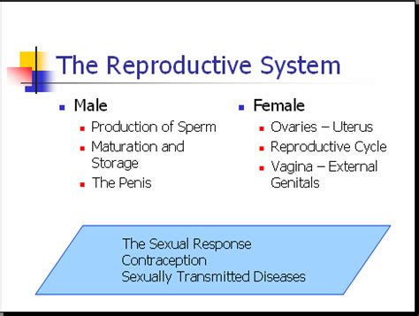 Microsoft PowerPoint Tutorial Lesson 11 Formatting Shapes And Objects