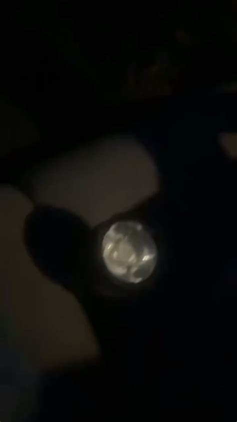 Massive 16ft Long Python Removed From The Florida Everglades R