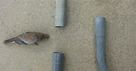 flappy bird imgur