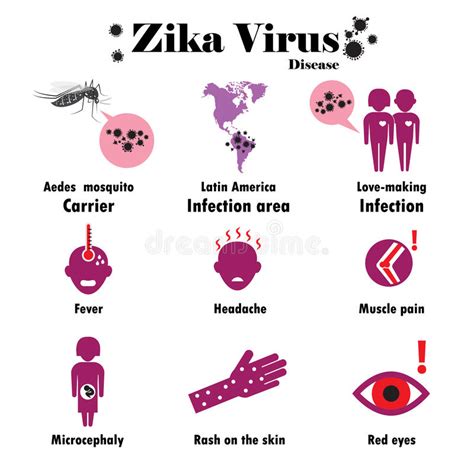 Zika Virus Infographic Vector Flat Design Stock Vector Illustration