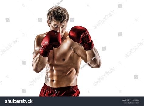Professional Boxer