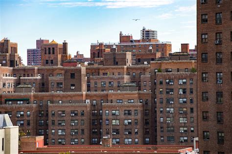 Nyhc A Nonprofit Case Study E9digital Nyhc A Nonprofit Case Study E9digital