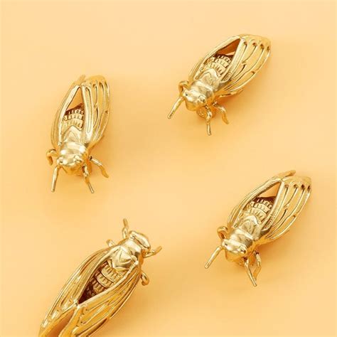 Insect Drawer Knobs Etsy