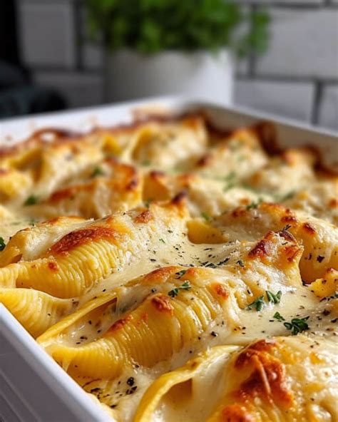 Chicken Alfredo Stuffed Shells Casserole More Recipes