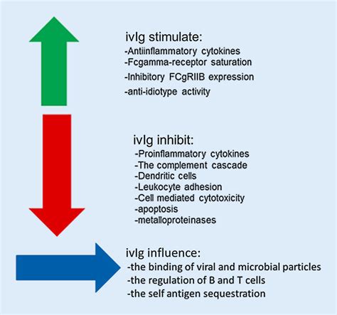 9 Effects Of Intravenous Immunoglobulin Ivig Iggma Treatment Download Scientific Diagram
