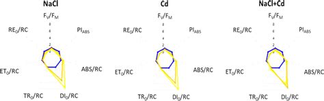 Photosynthetic Parameters Represented As Spider Plots Deduced By In Download Scientific Diagram
