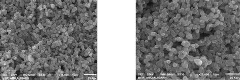 2 Sem Image Of Tio2 Nanoparticles Download Scientific Diagram