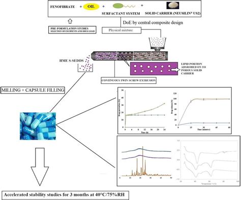 Formulation And Processing Of Solid Self Emulsifying Delivery Systems Hme… Prabhakar Jadhav