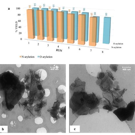The Scope Of O Arylation And N Arylation Reactions Download