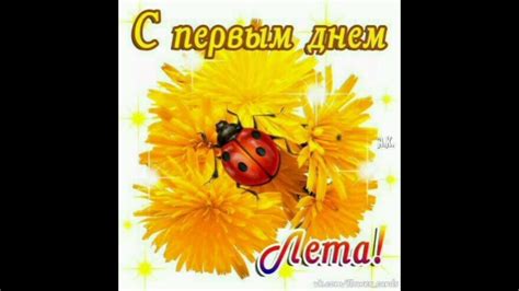 Поздравление с первым днем лета