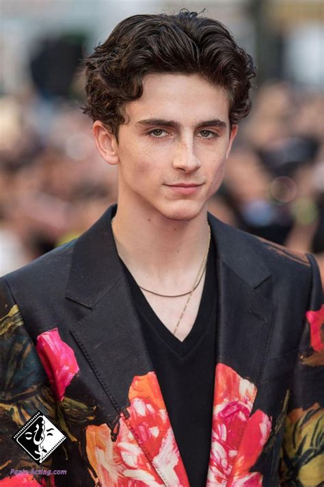 تیموتی شالامی آموزشگاه آزاد سینمایی پانیذ