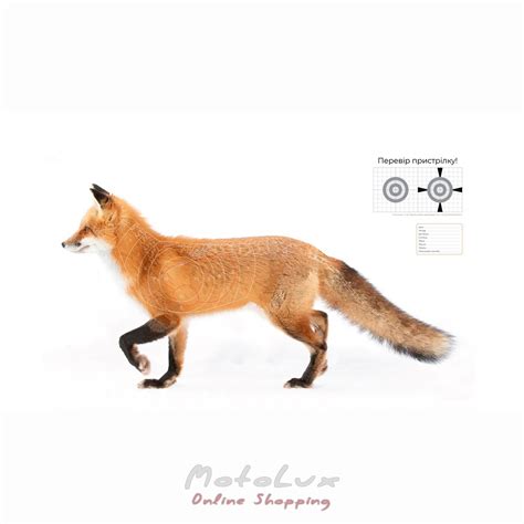 Мішень Лисиця 978 678 картон — Купити Мішень Лисиця 978 678 картон недорого в Україні — Ціна