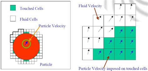 8 particle velocity of a particle imposed on touched cells download scientific diagram