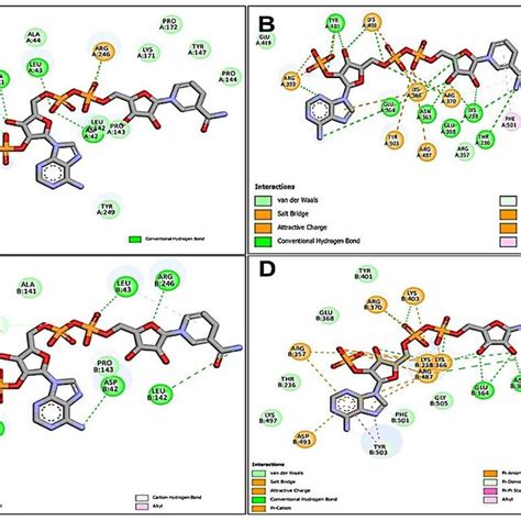 Pymol Visualization Of Human G6pd Enzyme 2bhl Dimer Entry Code Download Scientific Diagram
