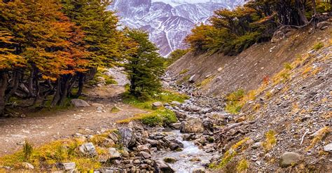 가을 가을 색 강 개울 경치 경치가 좋은 고요한 고요함 광각 광야 그림 같은 나무 나뭇잎 남아메리카 눈 덮인 드라마 러스틱 맑은 맑은 하늘