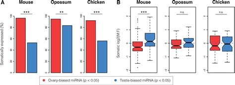 Sex Biased Microrna Expression In Mammals And Birds Reveals Underlying