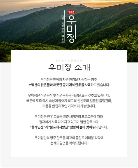우미정한우안심 소고기 상세페이지 제작 스톰데이즈 상세페이지 포트폴리오