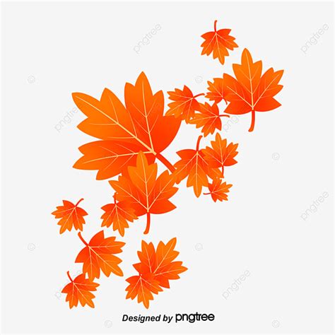 가을 일러스트 낙엽이 가을 낙엽 가을 벡터 Png 일러스트 및 Psd 이미지 무료 다운로드 Pngtree