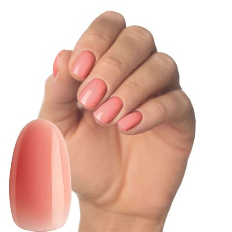 Productimages 8 1 Webpv 1698185460