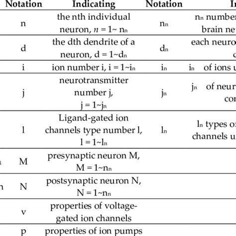Notations Used In Brain Model Download Scientific Diagram