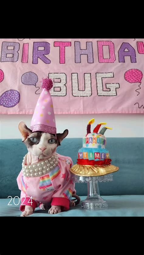 Throwback To You Becoming An Anchoring Expert During The Pandemic ⚓️