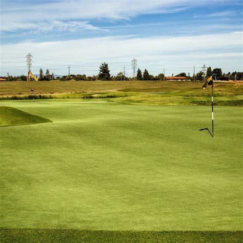 1 Oz Pure Select Creeping Bentgrass Seeds Golf Putting Greens No Grain Mow Usa Seller