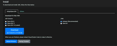 Error In Every Java File After Updating To Macos Big Sur · Issue 1700 · Redhat Developer Vscode