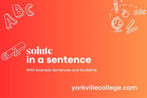 How To Use Solute In A Sentence Easy Examples