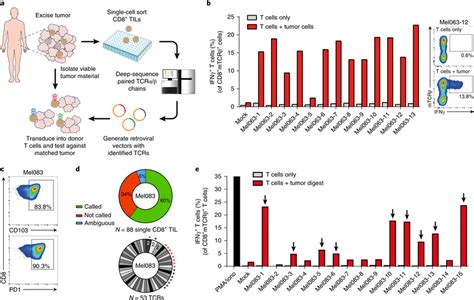 Overview And Functional Validation Of Tcr Profiling Technology A