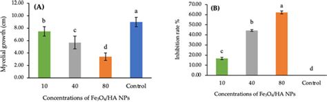 Polymers An Open Access Journal From Mdpi