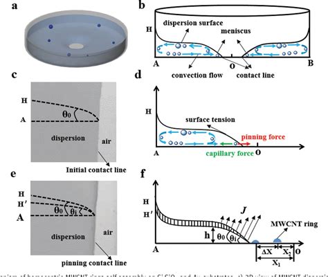 Figure 1 From Thermo Driven Evaporation Self Assembly And Dynamic Analysis Of Homocentric Carbon