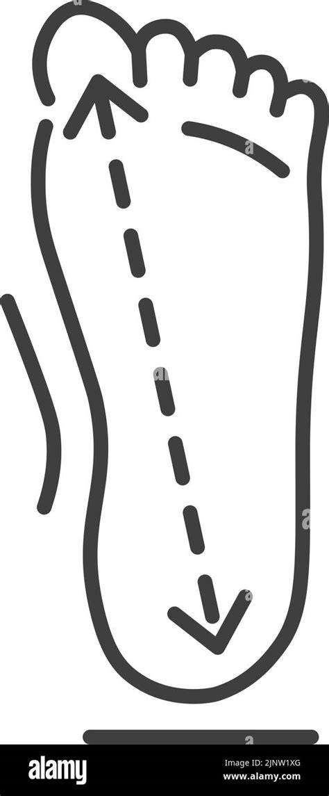 Dimensions des pieds humains tableau des tailles des vêtements Image Vectorielle Stock Alamy