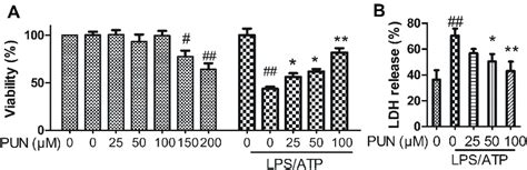 The Viability And Ldh Release Of Cells A Cell Viability Measured By
