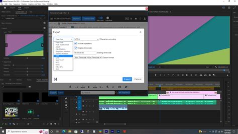 Solved Still Looking For A Way To Export Srt From Transcr Adobe Community 13407943