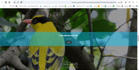 Html And Css Web Template مستقل